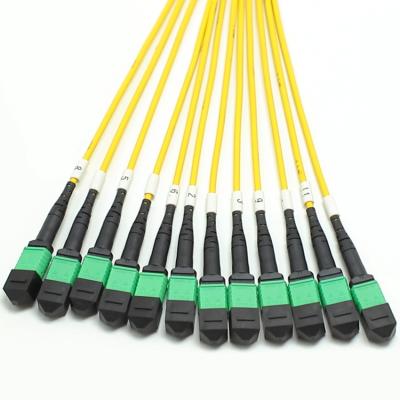 China Niedrigverlust MPO Fanout Kabel Großmenge Kern 1M 144F SMG657A1 MPO APC zu MPO APC Breakout Fiber Optic Patch Cord zu verkaufen