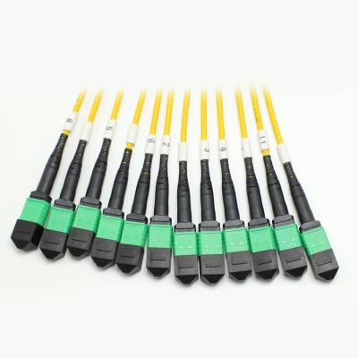 China Niedrigverlust MPO Fanout Kabel Großmenge Kern 1M 144F SMG657A1 MPO APC zu MPO APC Breakout Fiber Optic Patch Cord zu verkaufen