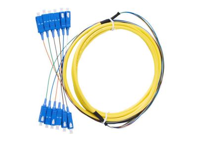 Chine 12 noyau, corde de correction optique d'intérieur de la fibre 24core avec le connecteur de Sc à vendre
