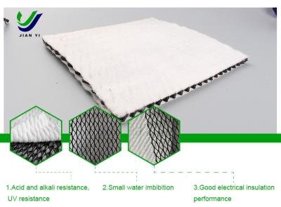 Tri Dimension Composite Geonet 200g/m2 For Drainage And Protection System