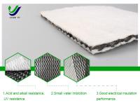 Quality Drainage Composite Geogrid Three Dimensional Material For Landfill for sale