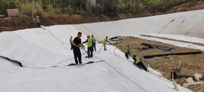 Composite Geomembrane: Reinforced Protection with Geotextile Backing