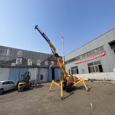 중국 Electric and Diesel Power Spider Crawler Crane for Tough Jobs 판매용