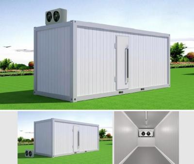 Китай дом холодной комнаты контейнера 20FT продается