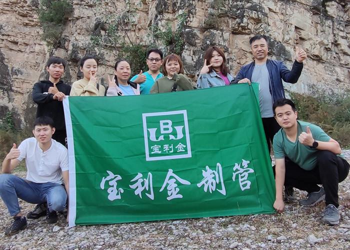 Fornitore cinese verificato - Tianjin Baoli Gold Pipe Co., Ltd