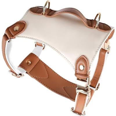 Chine Premium Adjustable Leather Pet Harness And Leash Set Stylish Comfortable And Durable à vendre