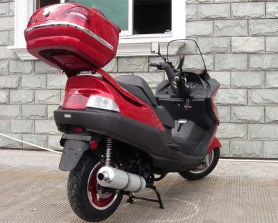 Chine Scooteur adulte de début de coup-de-pied jante de 12 pouces avec le choc d'arrière de double de chromaticité à vendre