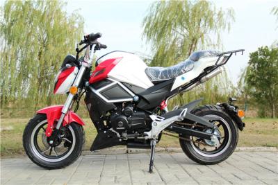 Κίνα 200cc βρώμικων δρόμων δροσισμένη 18.5L μοτοσικλετών ενιαία αέρας μεγάλη δεξαμενή καυσίμων κυλίνδρων προς πώληση