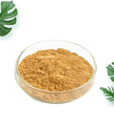 Cina La polvere Radiata di Lycoris della spora del pino gentile della Cina 99% estrae il bromidrato di Galanthamine a buon mercato in vendita