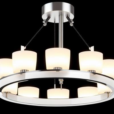 China RAMEAU Modern 10-Light Circular Chandelier with Adjustable Height and Warm White Light for sale
