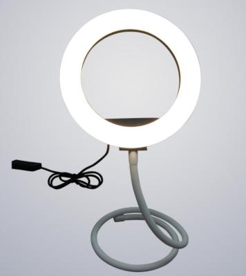 Cina 8 pollici del LED di collo d'oca bianco 112cm della luce per Youtube video Ring Light in vendita