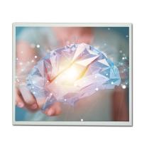 Quality 17 Inch DV170E0M-N10 BOE LCD Panel 250nit IPS Screen Viewing Angle for sale