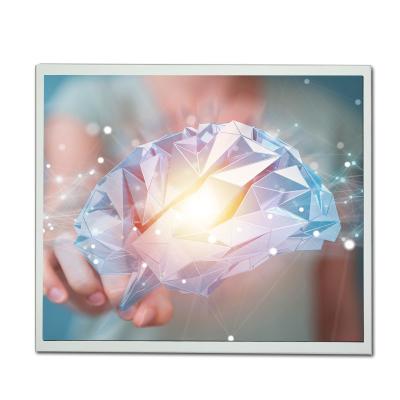 17 Inch DV170E0M-N10 BOE LCD Panel 250nit IPS Screen Viewing Angle
