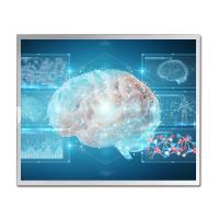 Quality BOE DV190E0M-N11 IPS LCD Screen 250 Nits 19 Inch TFT LCD Display for sale