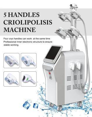 Cina Le maniglie di Cryo di verticale 4 funzionano allo stesso tempo il corpo del dispositivo di Cryolipolysis scolpiscono il dimagramento in vendita