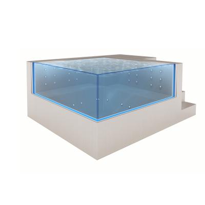 Cina Piscine di ginnastica Piscine infinite Container di spedizione Piscine di piscina Spa Piscine Piscine in acciaio inossidabile in vendita