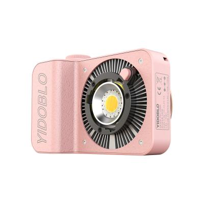중국 Professional Grade COB LED Light for Industrial and Commercial Application 판매용