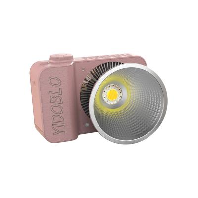 중국 Professional Grade COB LED Light for Industrial and Commercial Application 판매용