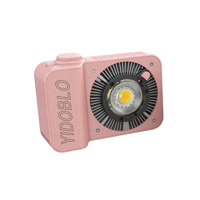 중국 Professional Grade COB LED Light for Industrial and Commercial Application 판매용