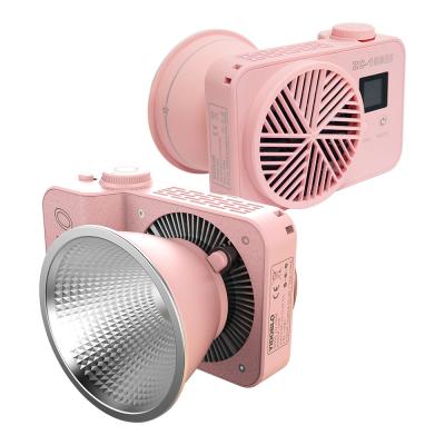 중국 휴대용 라이브 방송 라이트 100w 작은 미니 버전 셀카 채용 라이트에 적합한 채용 라이트 패널 제어 판매용