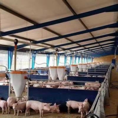 China High Quality Long Span Steel Structure Prefabricated Construction Design for Pig Farm and Chicken House for Pig Shed for sale