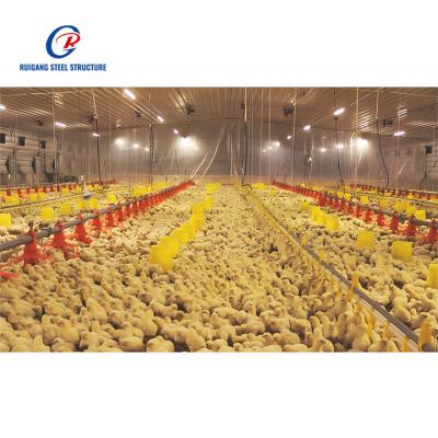China Heavy Steel Structure Chicken Shed Prefab Steel Building for Poultry Farm and Farm Shed Use Chicken House for sale