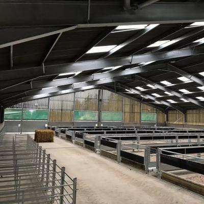 China Modern Prefabricated Farm Structure Big Storage Building Shed for Poultry Sheep Dairy Farm Goat House Warehouse Barn for sale