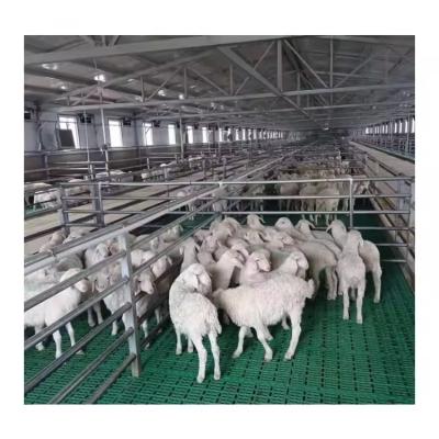 China Versatile Prefabricated Steel Structure Workshop Halls for Poultry Farm for Sheep Chicken House Designed in Farmhouse Style for sale