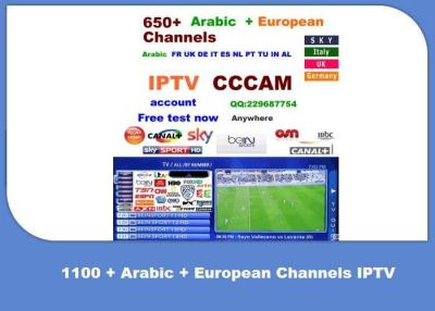Cina Androide astuto IPTV APP con i canali arabi ed europei di 650+ in vendita