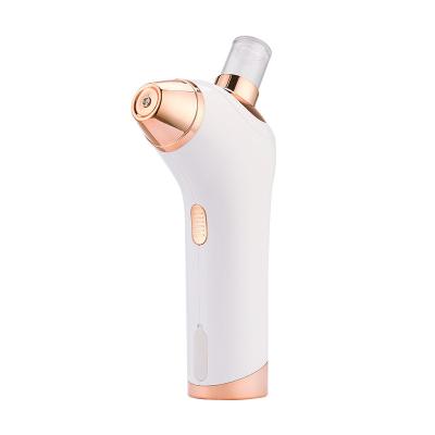 China Instrumento Nano do suplemento à água 10ml do equipamento 19.5cm da beleza dos cuidados com a pele do aerógrafo à venda