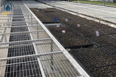 China Lightweight Greenhouse Rolling Benches Galvanized Mesh Rolling Bench Tables Stackable for sale