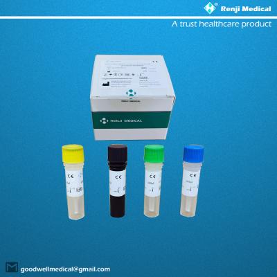Cina Test qualitativo Rt Pcr CE del nuovo kit di test dell'acido nucleico del coronavirus COVID-19 in vendita