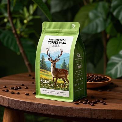 China Custom Printed Reusable Food Grade Zipper Moisture Proof Stand up Pouch Bag 340g 12oz Matte Coffee Bag for sale