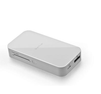 China Electric Portable USB Power Bank for sale
