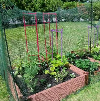 China Customized Bird Proof Net Green Reusable Bird Netting Anti UV For Garden Protection for sale