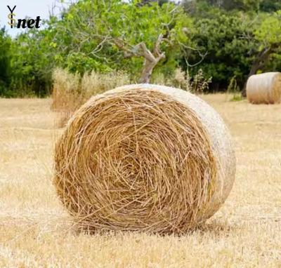 China Anti-UV-Rundballen-Netz Wickel 1,5x3000m Silage-Balle-Netzweiß zu verkaufen