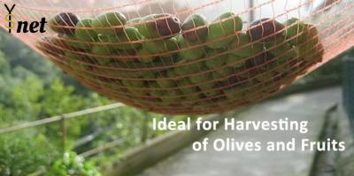 China Green Olive Harvest Net 8x12m 8x14m Fruit Collection Net 90g for sale