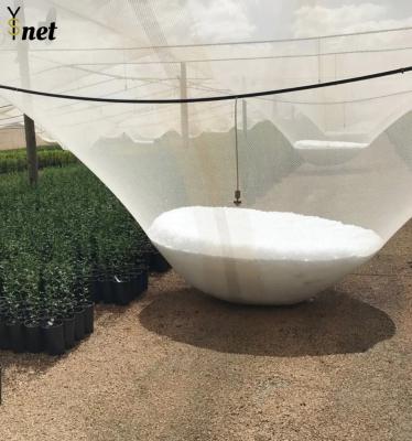 China Durable Anti Hail Net 50m 100m Bird Netting For Grape Vines And Apple Tree for sale