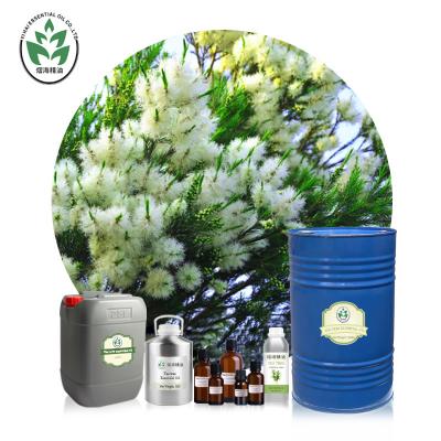 China Cas 68647 difusor orgánico natural puro del bulto del aceite del árbol del té 73 4 para el cuidado de piel del masaje en venta