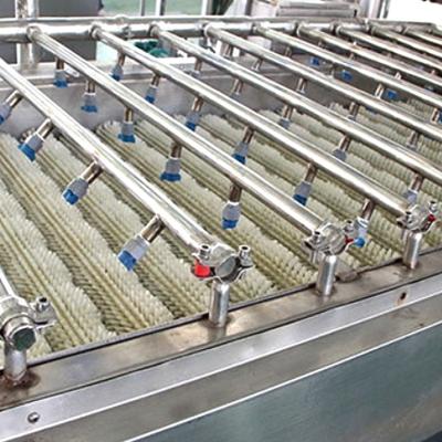 Κίνα Βιομηχανικό πλυντήριο 5t/H βουρτσών φρούτων ανοξείδωτου εξοπλισμού επεξεργασίας φρούτων προς πώληση