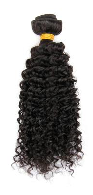 Chine les cheveux 9A bouclés frisés naturels empaquettent des prolongements dessinés par double de cheveux de trame à vendre