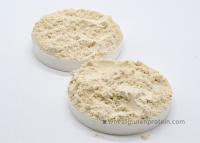Quality Light Yellow Nx5.7 75% Vital Wheat Gluten Flour Powder Nutrition Enhancers for sale
