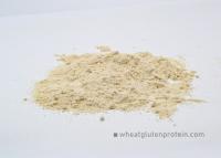 Quality Light Yellow Dried Wheat Gluten Powder For Feed Nutrition 24 Months Shelf Life for sale