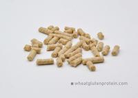 Quality Eel / Shrimp / Salmon Feedstuff Wheat Protein Pellet , Mrine Shrimp Feed for sale