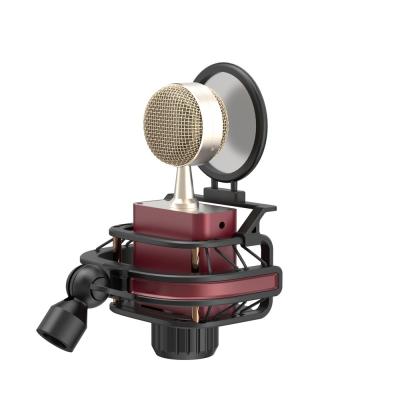 China 797Audio D501 Professional Usb Condenser Microphone Studio Recording For Youtube Tik Tok Recording for sale
