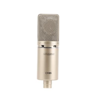 China Metal Studio Recording Microphone with Cardioid Polar Pattern and Customizable Design for sale