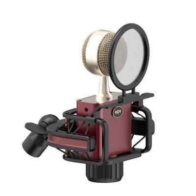 China 797audio D501 High Quality Sound Professional Recording Podcast Studio Mic Tube Condenser Microphone Wireless Kids Microphone for sale