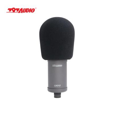 797AUDIO ATCR03 Vacuum Tube Condenser Microphone Interview Recording Microphone
