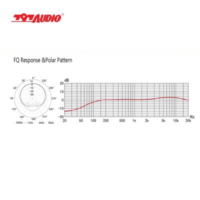 China 797Audio D502 Desktop USB-C Condenser Microphone For Broadcasting/Gaming Large Diaphragm,Podcast Condenser Mic Online Chat for sale