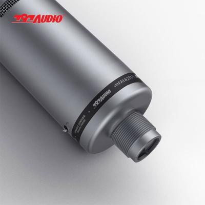 China 797Audio ACD01 Private Mold Dynamic Microphone for Broadcasting Singing and Living Program for sale